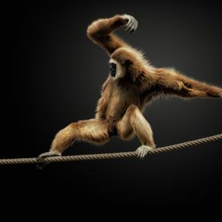 Définition | Macle : qu'est-ce que c'est ? | Futura planète