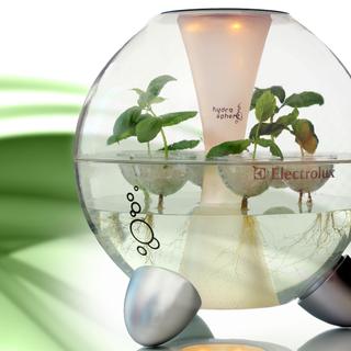 Définition | Lessivage : qu'est-ce que c'est ? | Futura planète