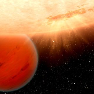 Définition | WWF : qu'est-ce que c'est ? | Futura planète