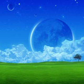 Définition | Pollution organique : qu'est-ce que c'est ? | Futura planète