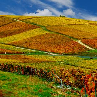 Définition | Macle : qu'est-ce que c'est ? | Futura planète