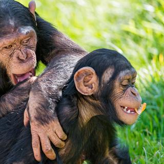 Définition | Parvis : qu'est-ce que c'est ? | Futura maison