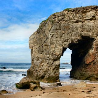 Définition | Périanthe : qu'est-ce que c'est ? | Futura planète