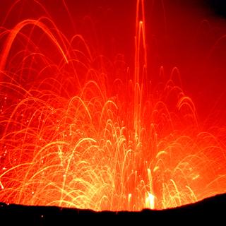 Définition | Corail : qu'est-ce que c'est ? | Futura planète