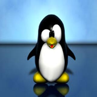 Définition | Stray : qu'est-ce que c'est ? | Futura tech