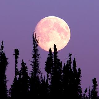 Définition | Astre : qu'est-ce que c'est ? | Futura sciences