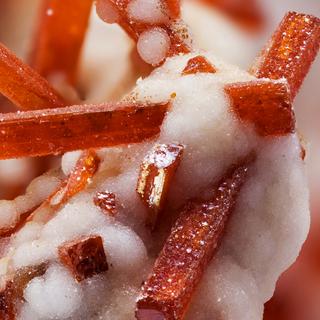 Définition | Mue : qu'est-ce que c'est ? | Futura planète