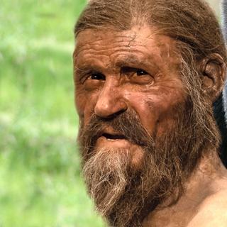Qui gagnerait entre 100 humains et un gorille ? La réponse scientifique