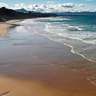 Définition | Côte : qu'est-ce que c'est ? | Futura santé