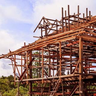 Définition | Laitance : qu'est-ce que c'est ? | Futura maison