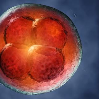Les Actualités Biologie | Futura