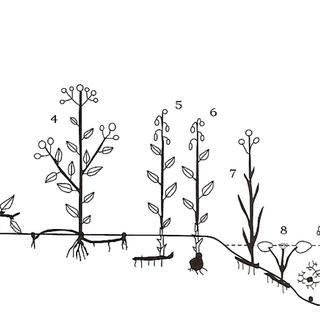 Sécheresse | Futura Planète