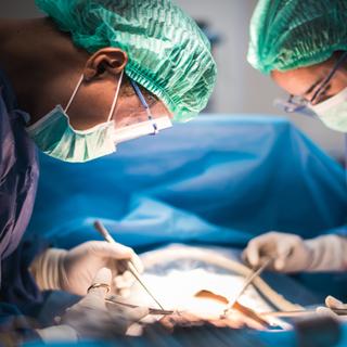 Greffe : usage et effets secondaires des médicaments immunosuppresseurs