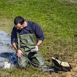 Définition | Polyphage : qu'est-ce que c'est ? | Futura planète