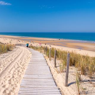 Définition | Côte : qu'est-ce que c'est ? | Futura santé