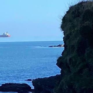 Arrivée du froid polaire en France : à quoi faut-il s'attendre