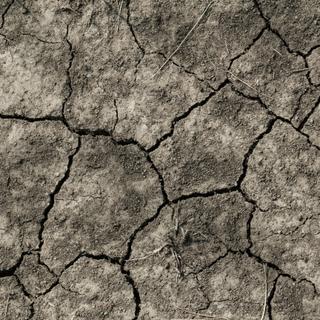 Définition | Néogène : qu'est-ce que c'est ? | Futura planète