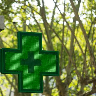 Définition | Photopériode : qu'est-ce que c'est ? | Futura santé