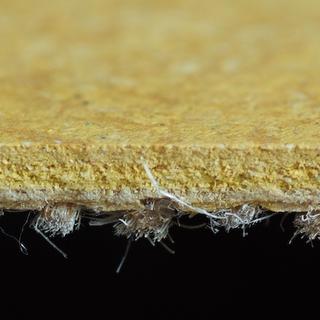 Définition | Linoléum : qu'est-ce que c'est ? | Futura maison