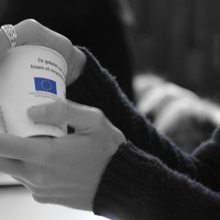 Définition | Zone euphotique : qu'est-ce que c'est ? | Futura planète