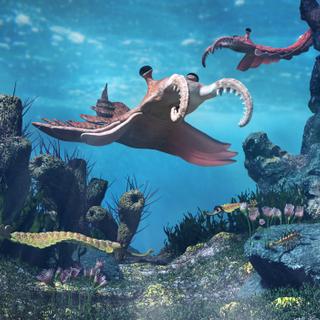 Définition | Cambrien : qu'est-ce que c'est ? | Futura planète