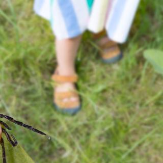 Définition | Poldérisation : qu'est-ce que c'est ? | Futura planète