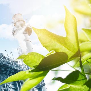 Ammoniac vert : comment est-il produit et utilisé