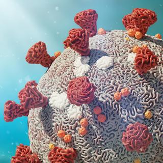 Définition | Complexe immun : qu'est-ce que c'est ? | Futura santé