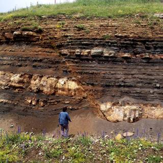 Définition | Laitance : qu'est-ce que c'est ? | Futura maison