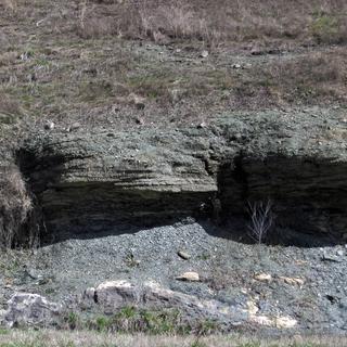 Définition | Pollution organique : qu'est-ce que c'est ? | Futura planète