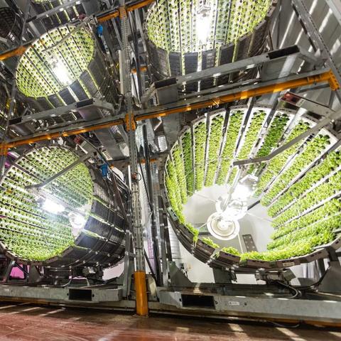 Définition | Mer Jaune : qu'est-ce que c'est ? | Futura planète