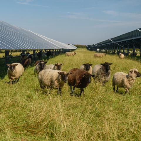 Définition | Lively Wallpaper : qu'est-ce que c'est ? | Futura tech