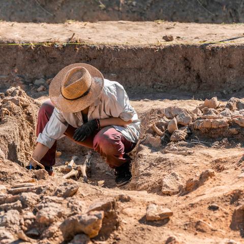 Définition | Winglet : qu'est-ce que c'est ? | Futura sciences