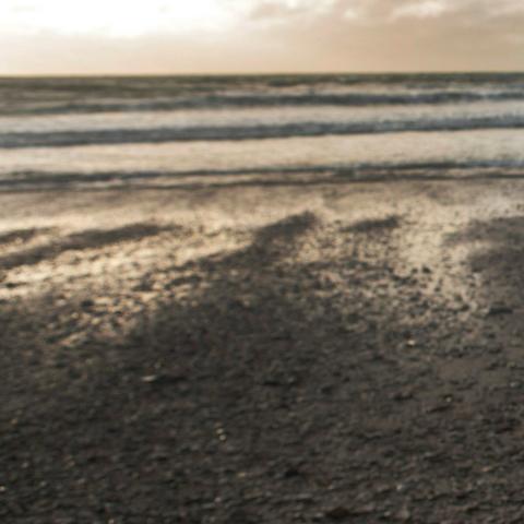 Définition | Fanon : qu'est-ce que c'est ? | Futura planète