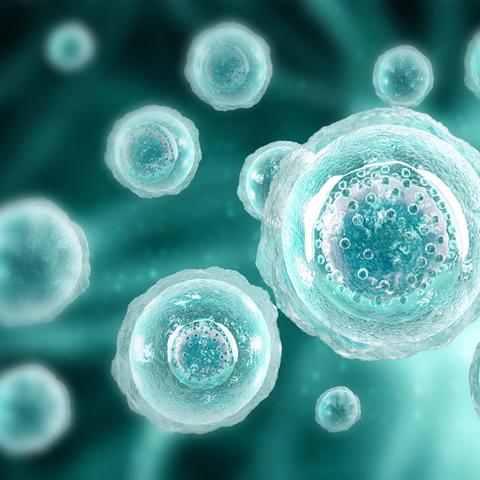 Définition | Exsudat : qu'est-ce que c'est ? | Futura santé