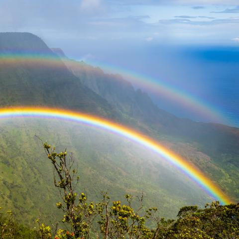 Définition | Mer Jaune : qu'est-ce que c'est ? | Futura planète