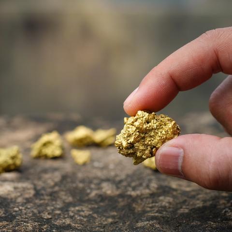 Définition | Phanère : qu'est-ce que c'est ? | Futura planète