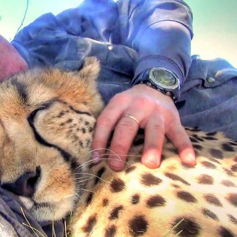 Définition | Radicelle : qu'est-ce que c'est ? | Futura planète