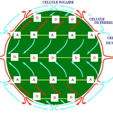 Définition | Alizés : qu'est-ce que c'est ? | Futura planète