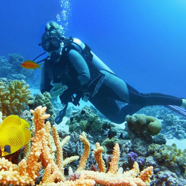 Définition | Mer Égée : qu'est-ce que c'est ? | Futura planète