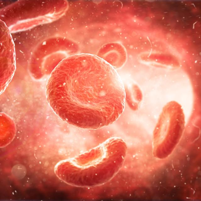 Définition | Placode : qu'est-ce que c'est ? | Futura santé