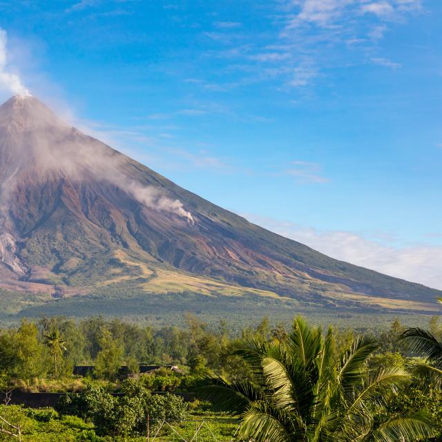 Définition | Plantigrade : qu'est-ce que c'est ? | Futura planète