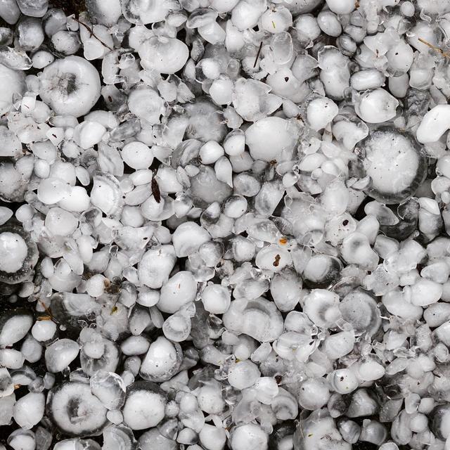 Définition | Iléon : qu'est-ce que c'est ? | Futura santé