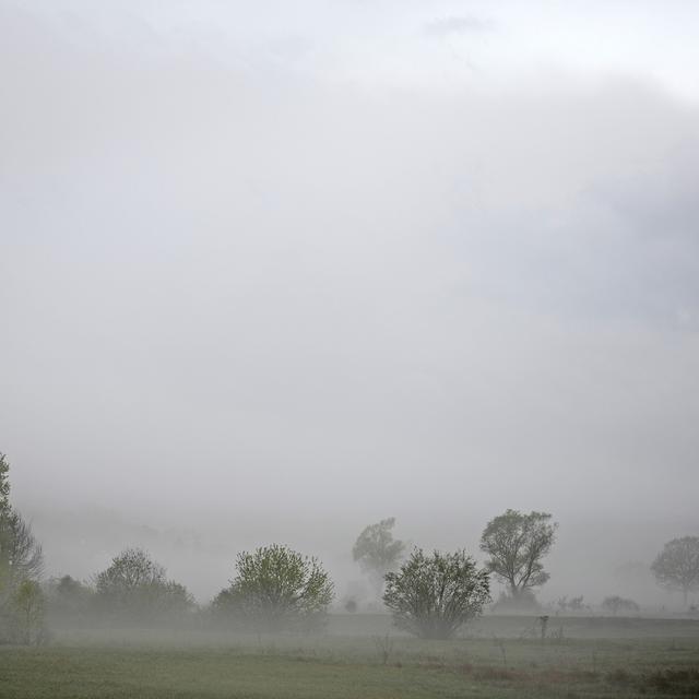 Définition | Stratus : qu'est-ce que c'est ? | Futura planète