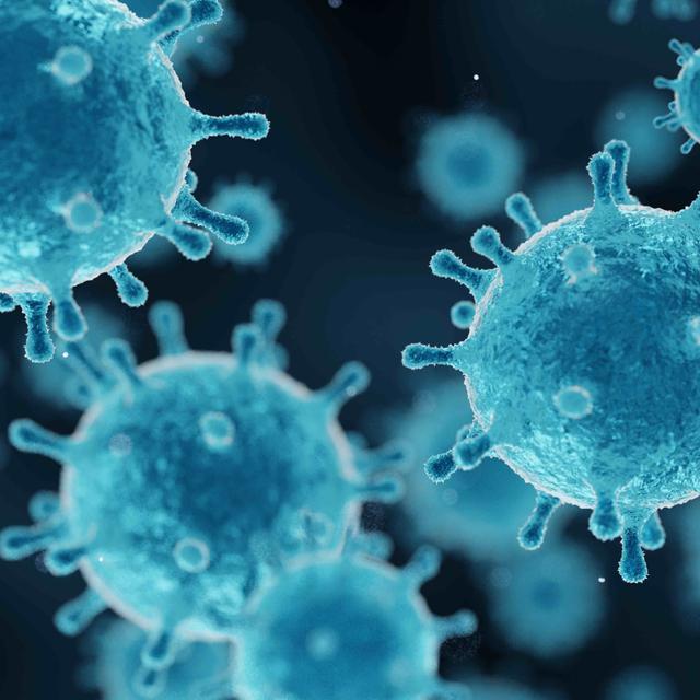 L'Institut Pasteur découvre un nouveau virus qui s'attaque au foie