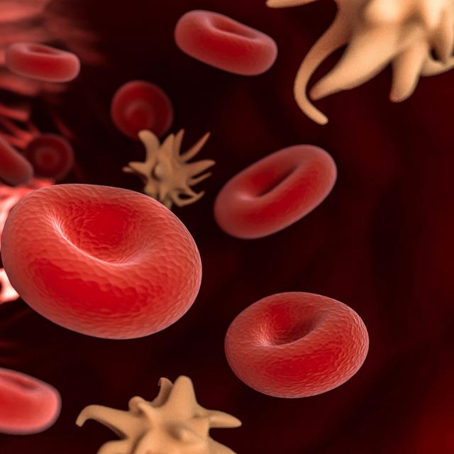 Définition | Acanthocytose : qu'est-ce que c'est ? | Futura santé