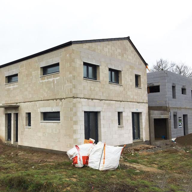 Définition | Plasmodesme : qu'est-ce que c'est ? | Futura planète