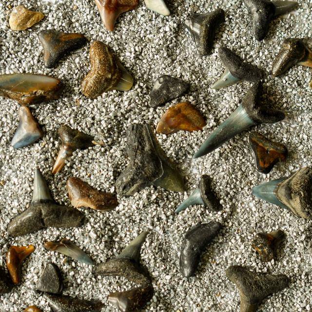 Définition | Datation relative : qu'est-ce que c'est ? | Futura planète