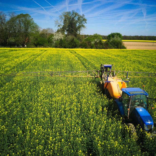 Définition | ECBU (Examen CytoBactériologique des Urines) : qu'est-ce ...
