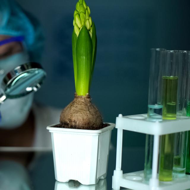 Définition | Mutant : qu'est-ce que c'est ? | Futura santé